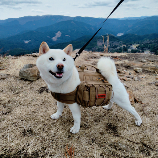 Kohya Shiozaki's Website